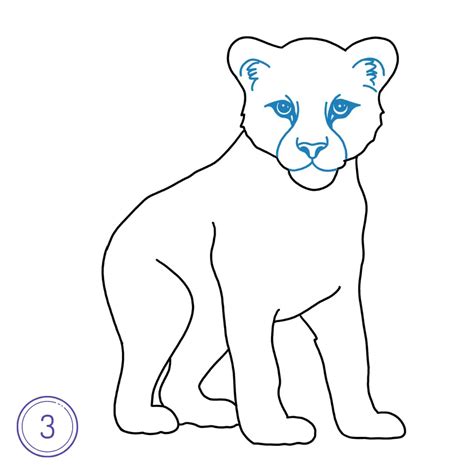 Leopard Drawing Step By Step