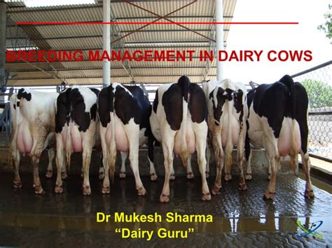 Breeding Strategies During Breeding Season Pdf