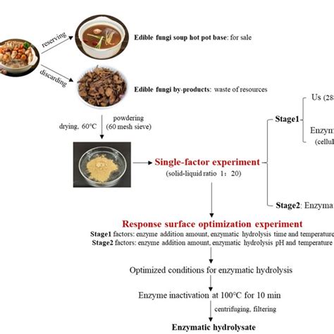 flow chart for the optimization of conditions for extracting soluble