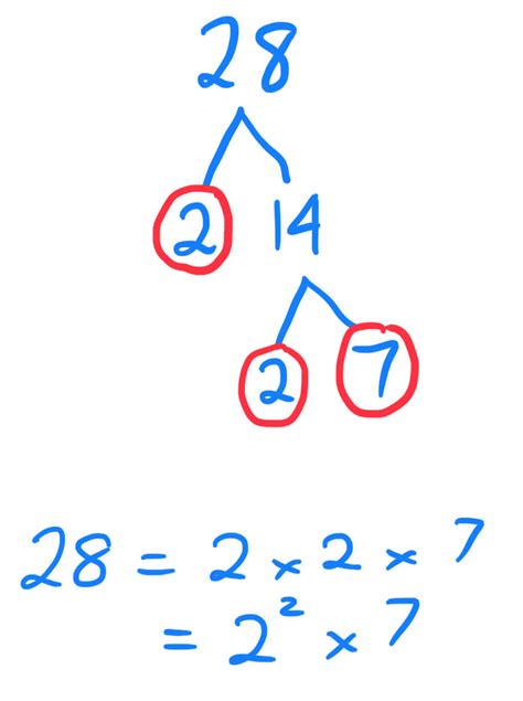 What Are The Prime Factors Of 28 Maths How To With Anita