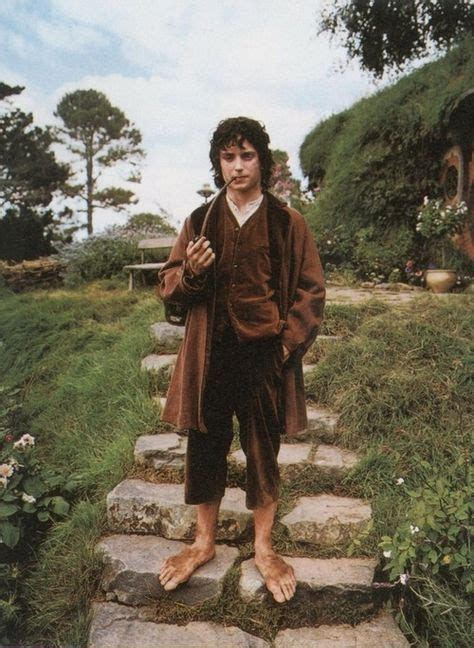 48 Ideas De Frodo Bolson Frodo Bolsón El Señor De Los Anillos Hobbit