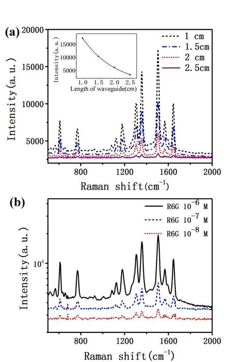 A Sers Signals For Different Waveguide Lengths B Sers Signals For
