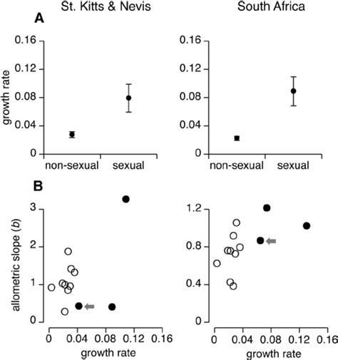 Differences In The Rate Of Growth Over Adult Ages In Sexual And Download Scientific Diagram