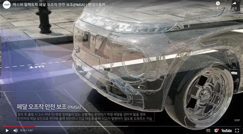 급발진 용어로 사회적 비용 손실페달 오조작 방지장치 기술 확대”