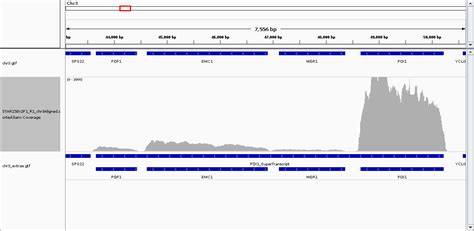 Best Options For Quantifying A Transcript Fully Contained Within A Larger Transcript Issue