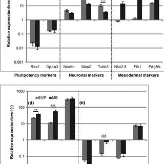 Relative Gene Expression Levels In Log Scale In The MB And WP Download Scientific