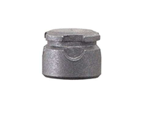 Overdenture Abutment With Cap Btlock