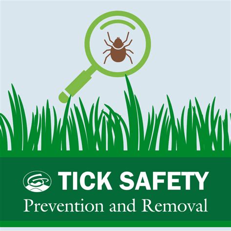 Everything You Need To Know About Tick Prevention Ntunz