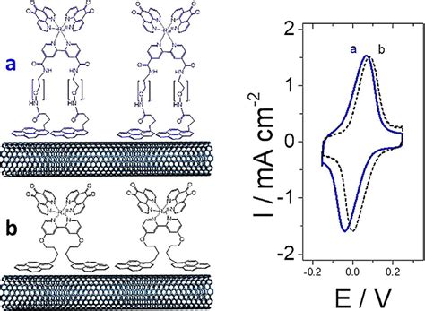 Cyclic Voltammetry Of A Rupeg‐ And B Ru2‐functionalized Mwcnt