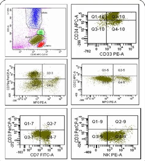 Flow Cytometric Immunophenotypic Analysis Of The Blasts Reveals Download Scientific Diagram