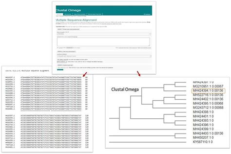the above figure describes the clustal omega tool interface alignment download scientific