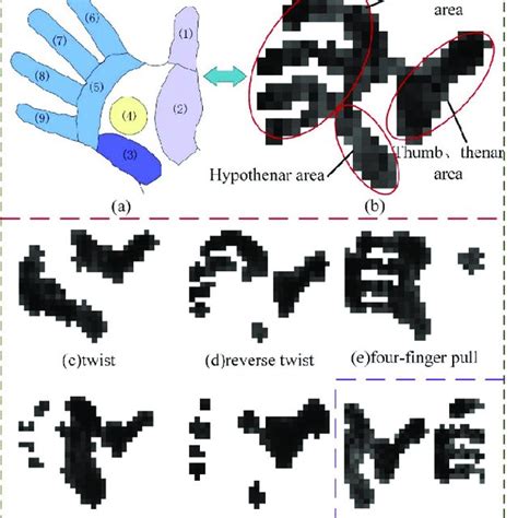 Grasping State And Posture Classification Based On Hand Region