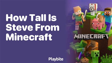 How Tall Is Steve From Minecraft Playbite
