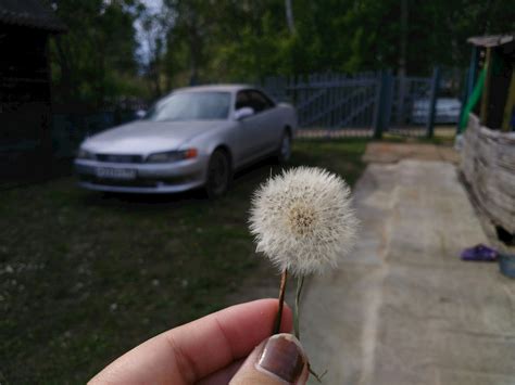 Дачная романтика💕 — Toyota Mark Ii 90 2 л 1995 года путешествие Drive2
