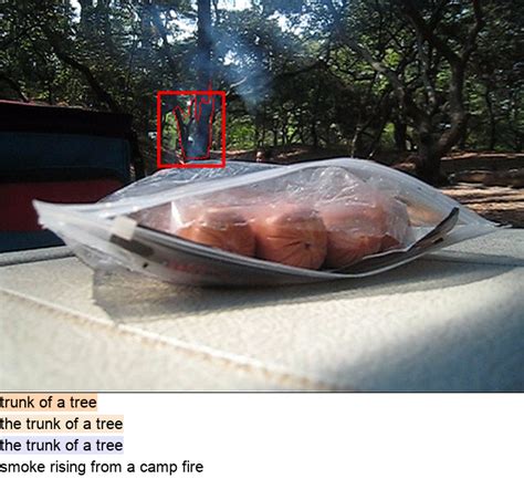 Segment And Caption Anything