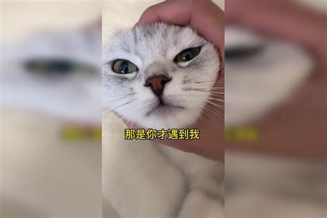 我真服了家人们。这是啥啊？人们