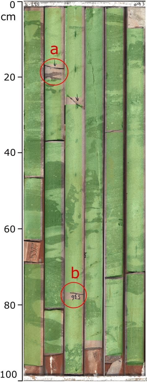 Examples Of Misclassification By The Model Intact Cores With A Natural Download Scientific