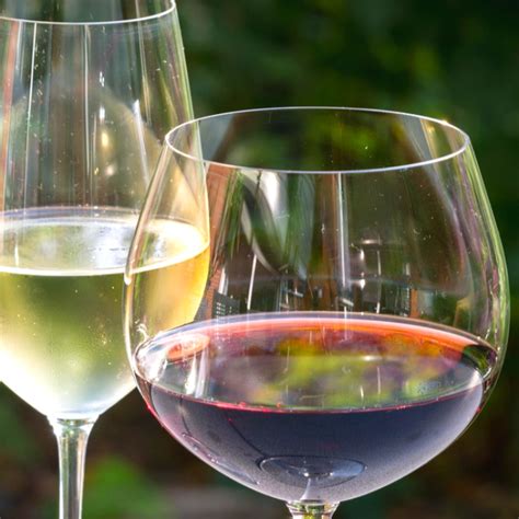 Wine Glasses Archives Learn With Wine Enthusiast Wine Glasses Archives Learn With Wine Enthusiast