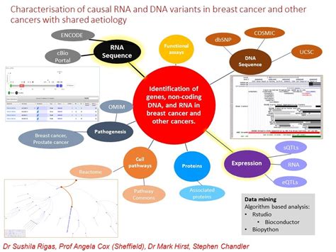 Big Data And Bioinformatics Powerful Tools For Decoding Dna