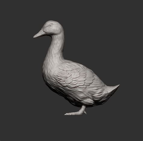 🦆 Pekin Duck 3d Print Model・ Stl File For 3d Printing・cults