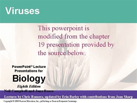 Viruses This Powerpoint Is Modified From The Chapter