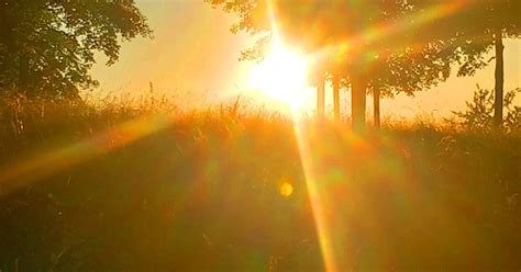 Grace Integrity® Grace Light