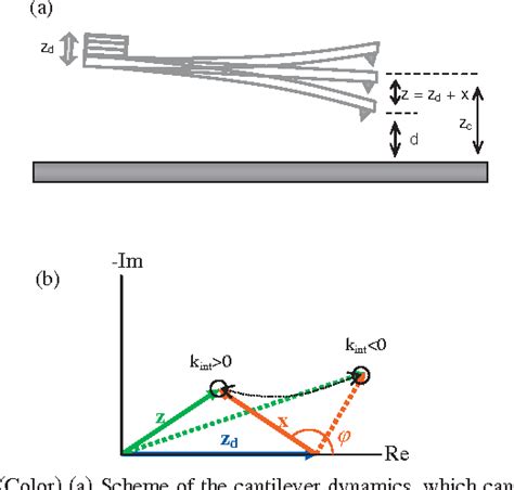 Figure 2 From Atomic Force Microscopy Cantilever Dynamics In Liquid In The Presence Of Tip