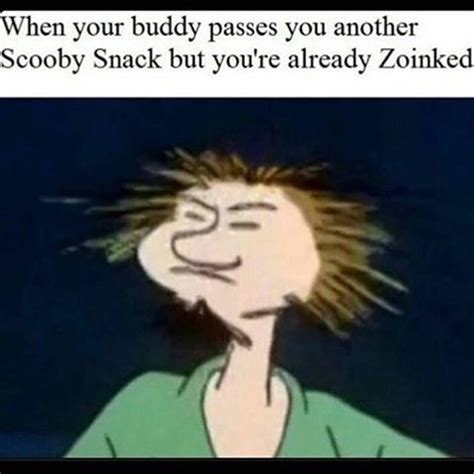 23 Scooby Doo Memes For Scoob