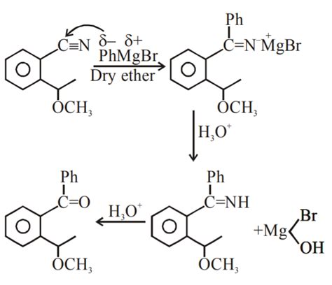 The Structure Of X Isoption 1