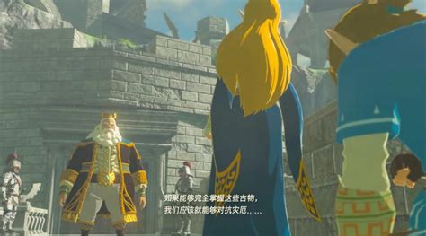 塞尔达第八张照片怎么进去 塞尔达第八张照片进去方法 梦幻手游网