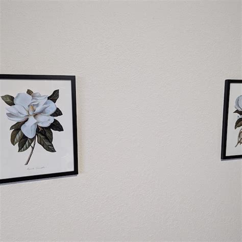 Magnolia Grandiflora Print Set No 1 Vintage Botanical Prints Wall