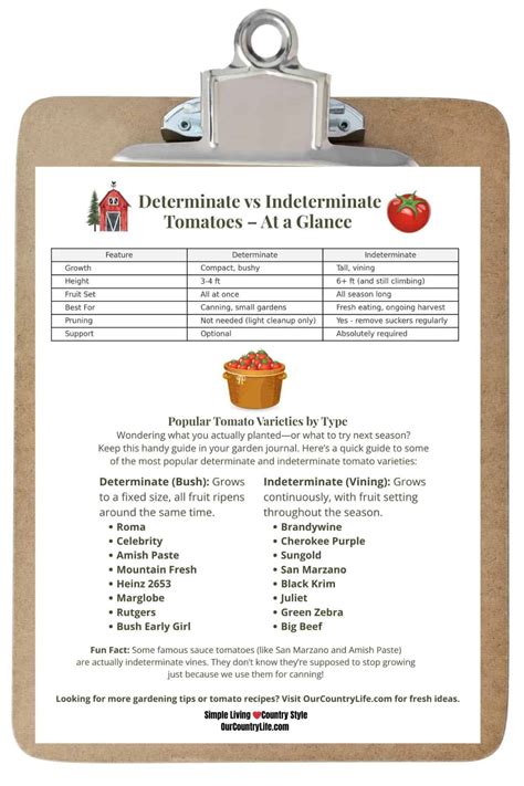 Determinate Vs Indeterminate Tomatoes What You Need To Know Right Now Our Country Life