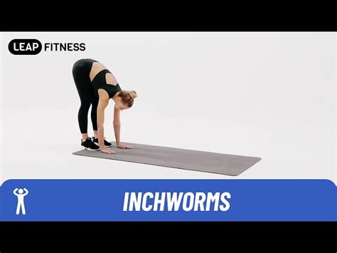 Inchworms Exercise