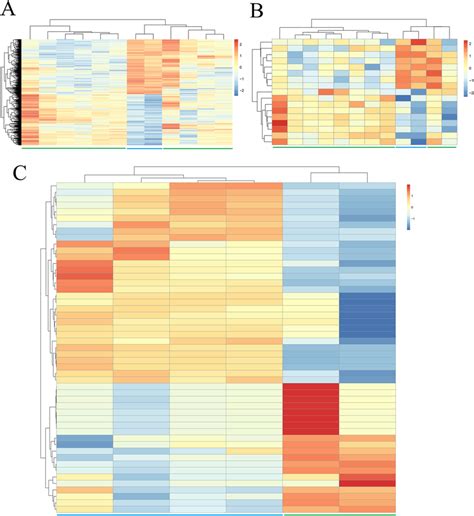 Hierarchical Clustering And Heat Map Analysis Of Differentially