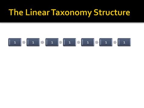 Designing Enterprise Taxonomy Pptx Technology And Computing