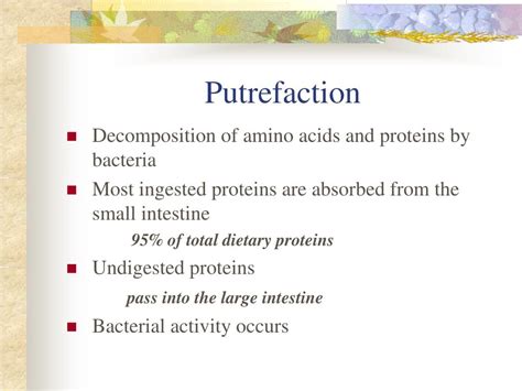 Ppt Chapter 7 Catabolism Of Proteins Powerpoint Presentation Free