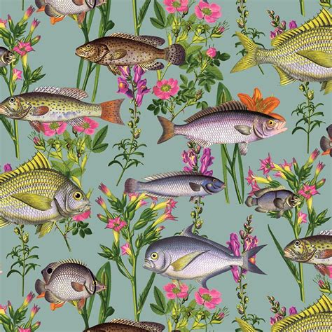 Lagoon Fish Wallpaper Online Nz The Inside