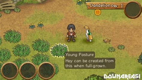 Brooktown High Psp File Sportsatila