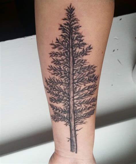 Pine Tree Side Tattoos