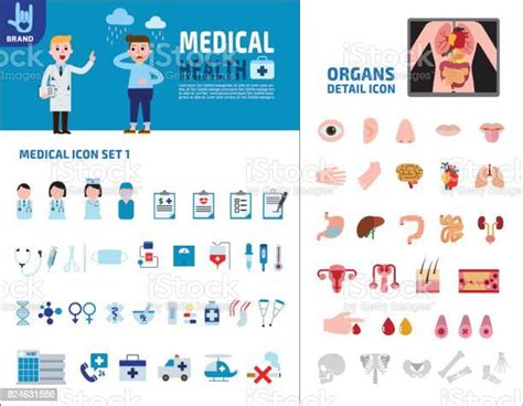 큰 설정된 아이콘 의료 및 장기 의사는 환자에 게 얘기 벡터 평면 디자인입니다 의료 개념 그림입니다 Infographic 요소입니다 흰색 배경에 고립 아이콘에 대한 스톡
