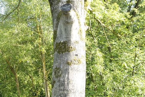 Assignment1all Flickr