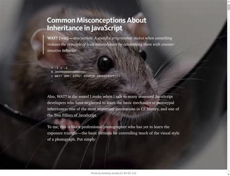 Common Misconceptions About Inheritance In Javascript Inheritance