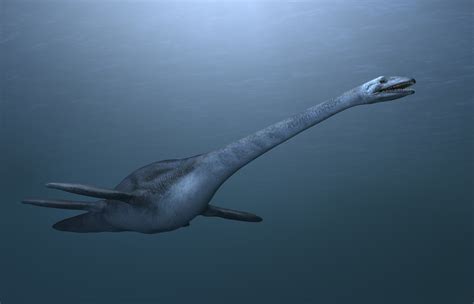 New Species Of Plesiosaurs Survived Mass Extinction Event