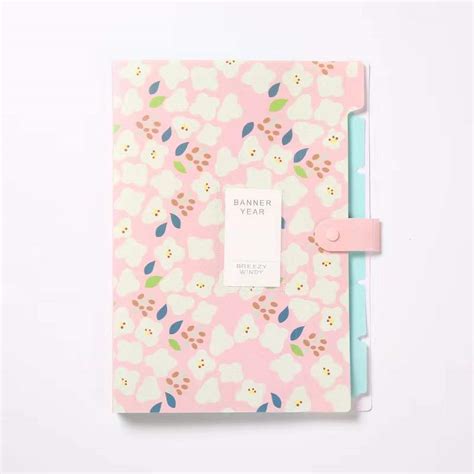 A File Folder With Labels Pockets Expanding Fil Vicedeal