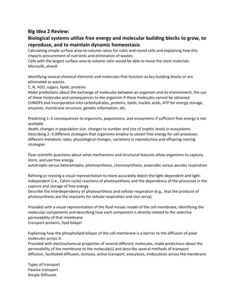Biology Big Idea 2 Review Free Energy And Homeostasis