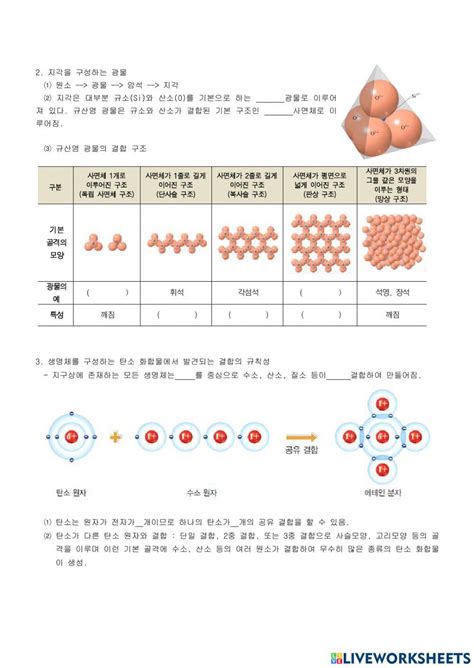 5339981 211 지각과 생명체를 구성하는 물질 Yapark