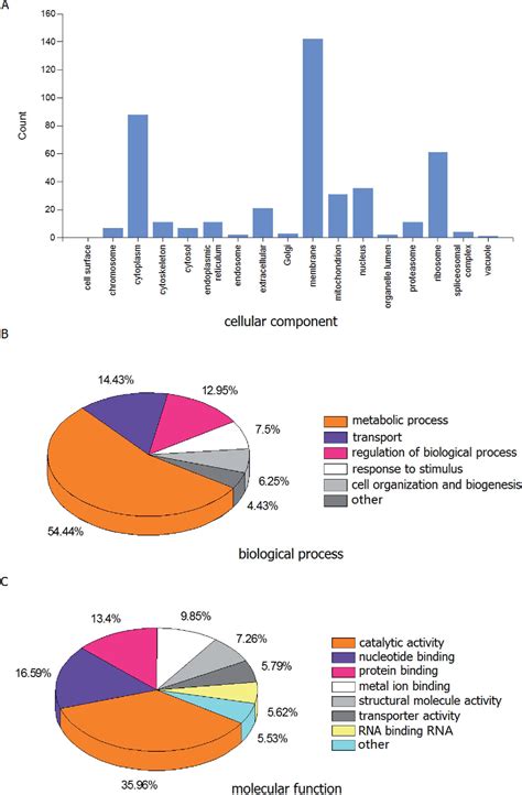 Figure 1 From Identification Of Proteins In Housefly Musca Domestica