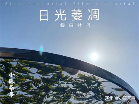 加了“香精”的茶叶，和正常茶叶有何区别？内行人教你一眼辨别 知乎
