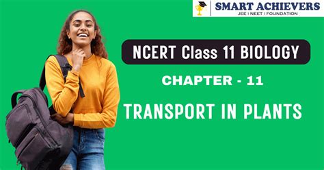 Ncert Syllabus Biology Biology Ncert Syllabus Class 11 Ncert Syllabus For Class 11 Biology