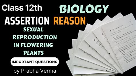 Assertion And Reason SEXUAL REPRODUCTION IN FLOWERING PLANTS Yt Science Classes YouTube